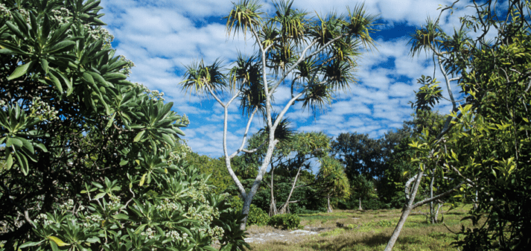 6 Best Dirt Bike Tracks near Mackay For Locals (2023) - Frontaer