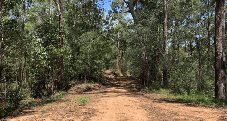 12 Best Dirt Bike Tracks near the Sunshine Coast, QLD (2023) – Frontaer